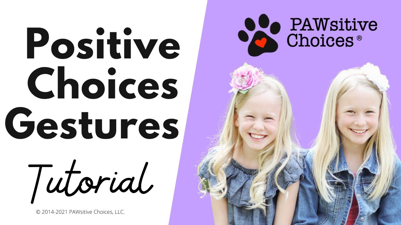 Positive Choices Gestures (based in American Sign Language) - YouTube