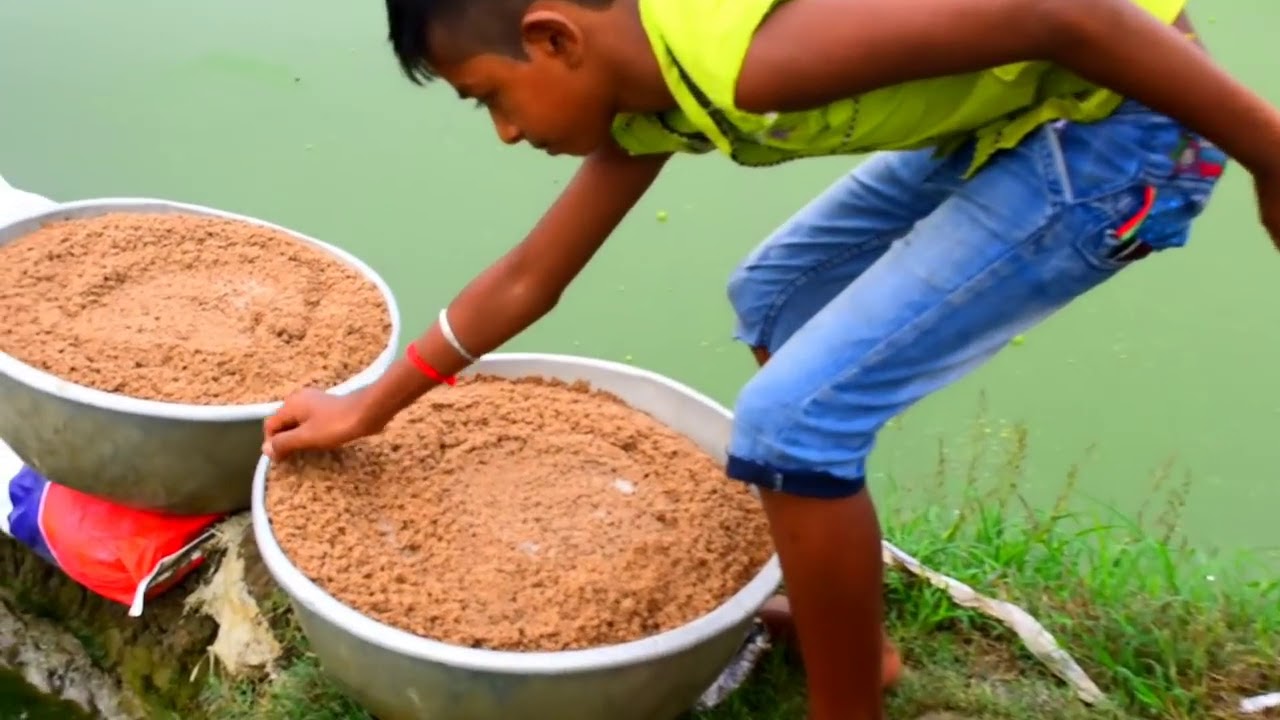 Hybrid Magur Fish Farming Business in India | Million Catfish Eating ...