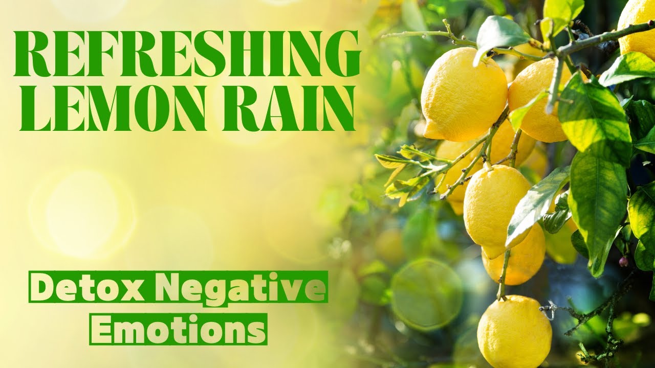 "Blissful Lemon Tree Symphony: Relaxing ASMR Sounds of Rain and Rustling Leaves" - YouTube