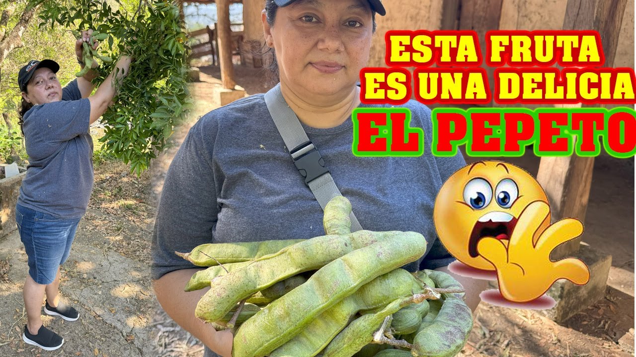 #Conoces esta fruta EL PEPETO.#viral #video - YouTube