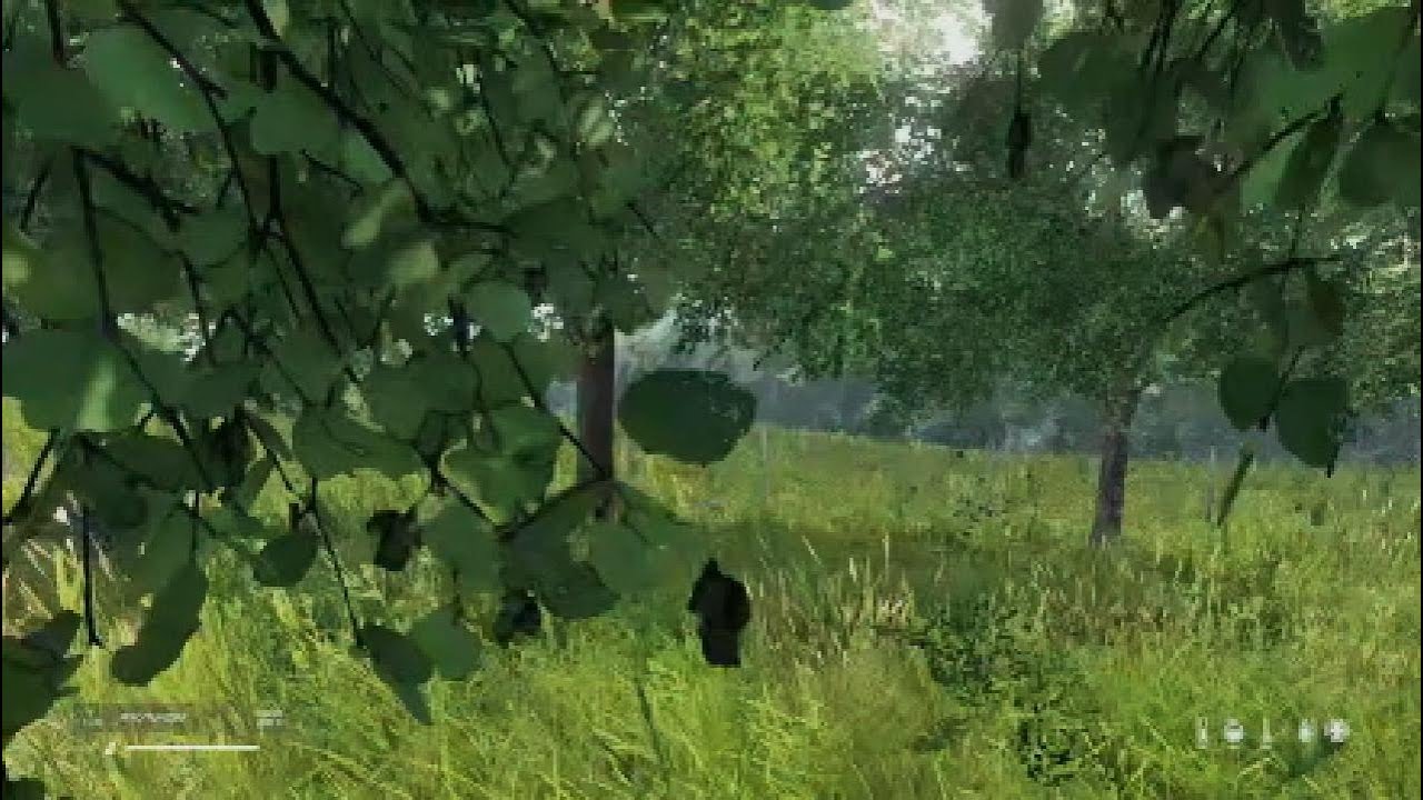 PS5 Dayz Clips Fuzzy's Revelation Server - YouTube