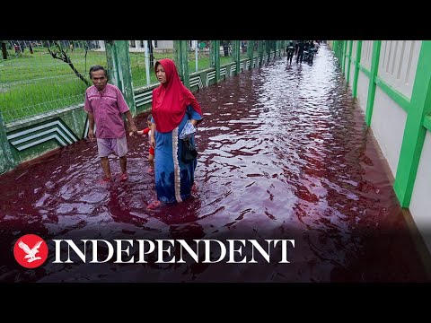 'Blood-red' waters swamp Indonesian village - YouTube