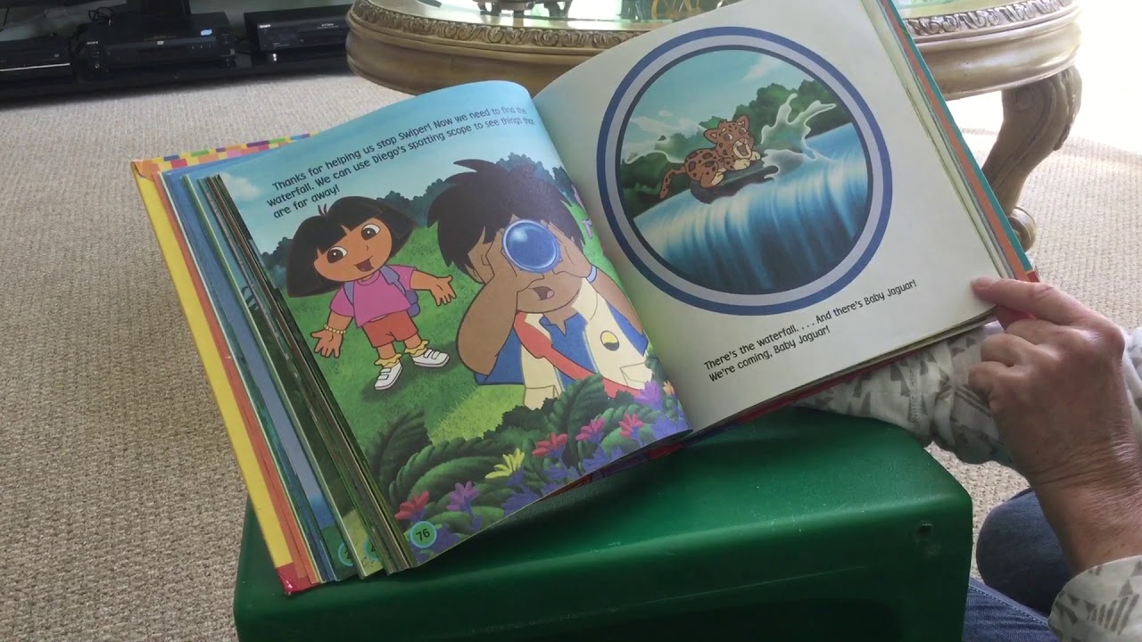 Dora the Explorer Doras Storytime Collection Book Meet Diego Ms Karen ...