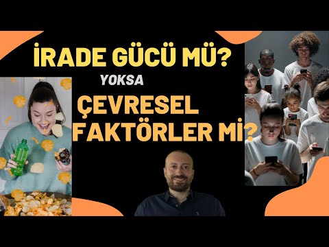 İrade Gücü mü Çevresel Faktörler mi?