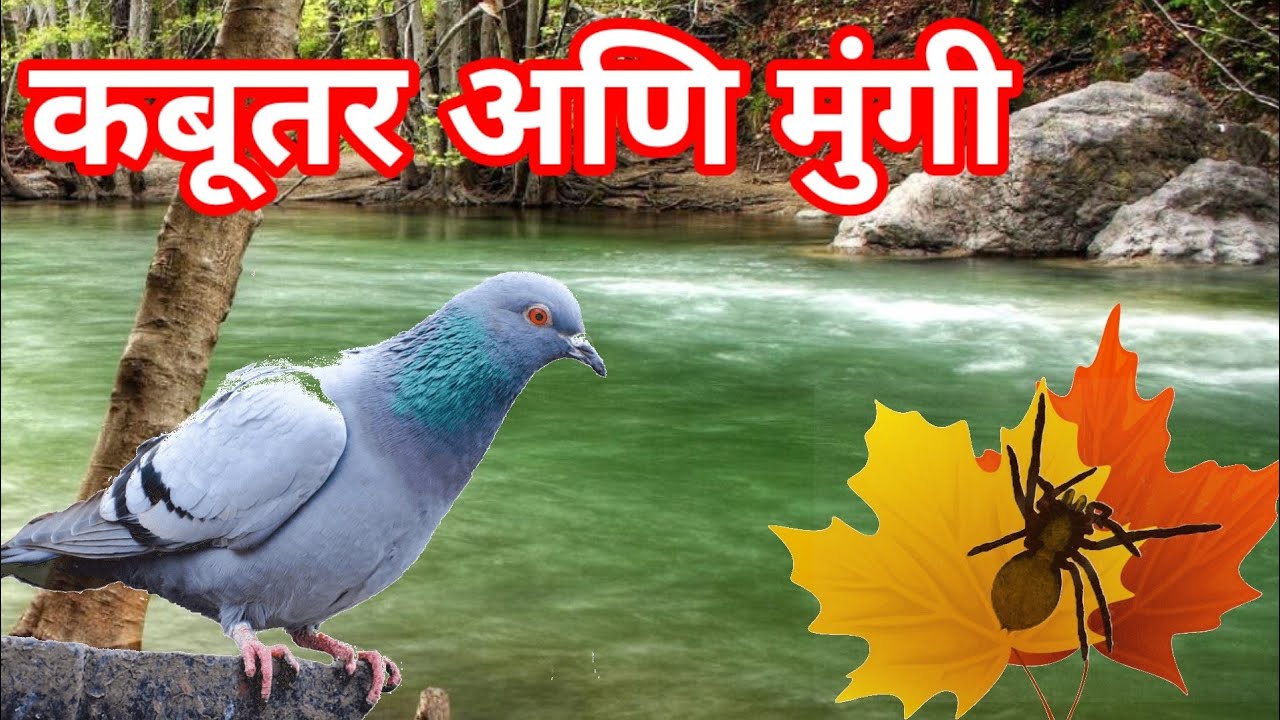 मुंगी अणि कबूतर। mungi ani kabutar| moral story।#moralstories #marathi ...