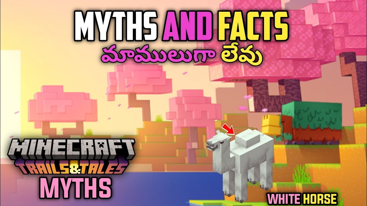 1.20 MYTHS & FACTS ARE AMAZING 😍 || MINECRAFT MYTHS AND FACTS || TMB ...