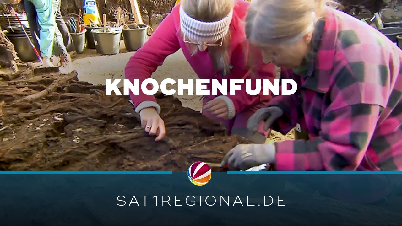 Archäologen entdecken 10.000 Jahre alte Leiche aus Lüchow - YouTube