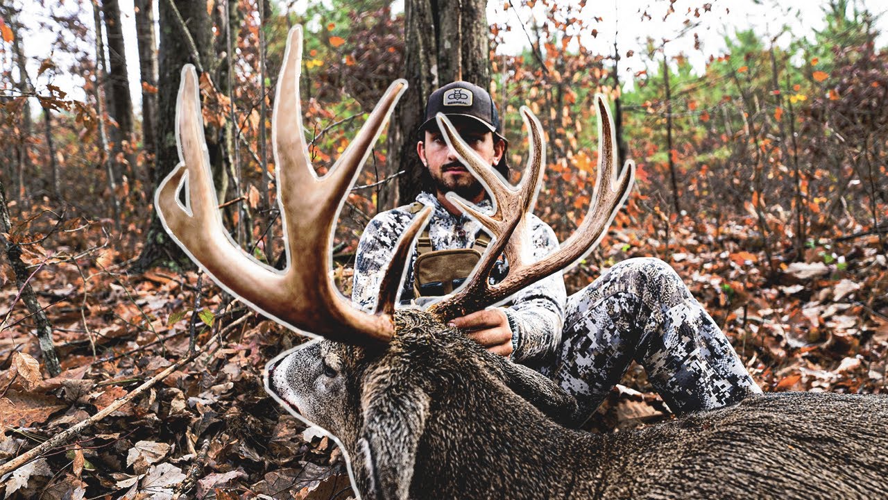 OHIO ARCHERY BUCK (Cat and mouse with Turkey Foot) - YouTube