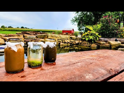 Resurrection Jars and The Hollow Stump Terrarium // Whitt Acres - YouTube