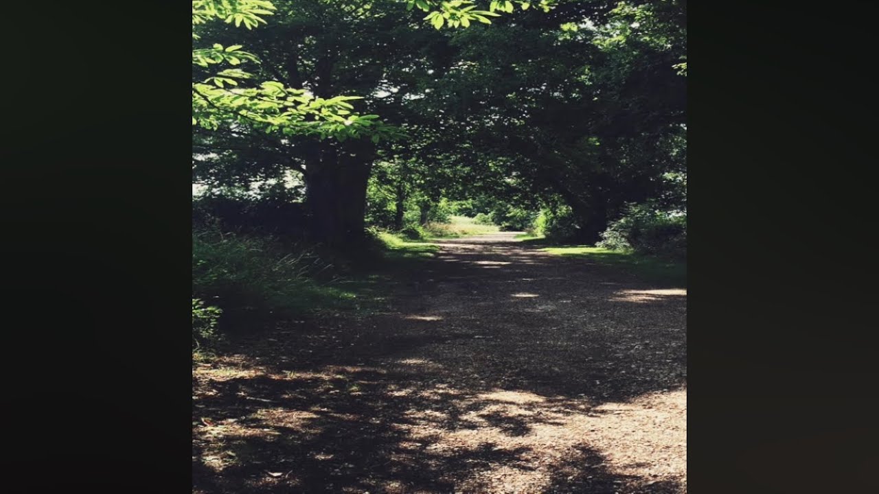 doc simmo - walking - YouTube