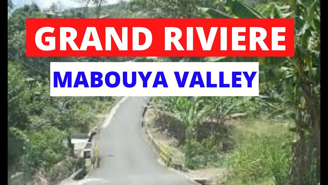 ST LUCIA COMMUNITIES | GRAND RIVIERE ~ MABOUYA VALLEY - YouTube
