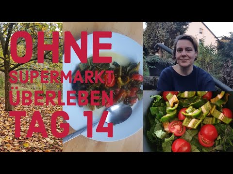 Tag 14 Das Experiment `Überleben ohne Supermarkt 30 Tage` Gemüseragout Vorräte günstig kochen