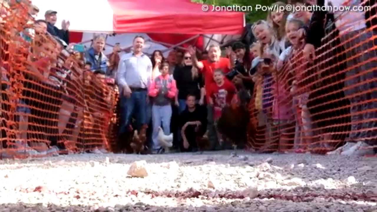 Eccentric British Events - World Hen Racing Championship 2015, Barley ...