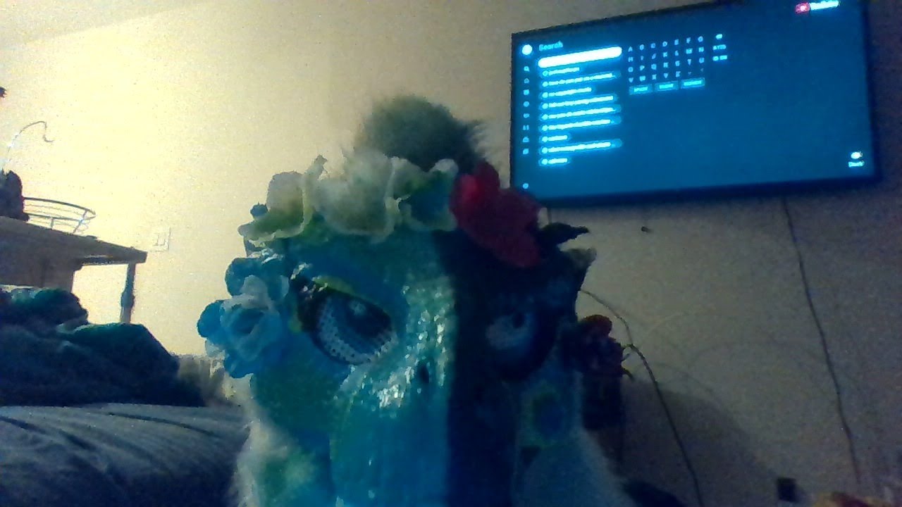 Furry chilling and other things - YouTube