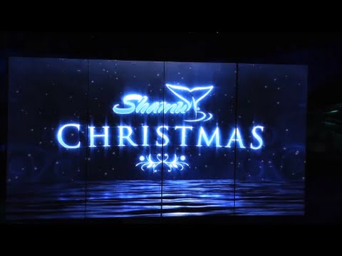 Shamu Christmas Miracles - SeaWorld San Diego - HD - YouTube