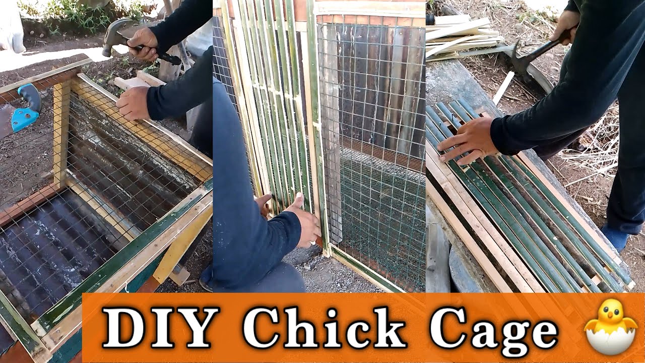 Family Farm | DIY Chick Cage - YouTube