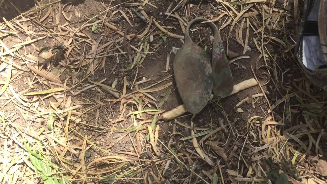 the first hunt in ages - YouTube