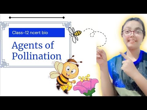 Agents of Pollination | class-12 | ncert| biology | - YouTube