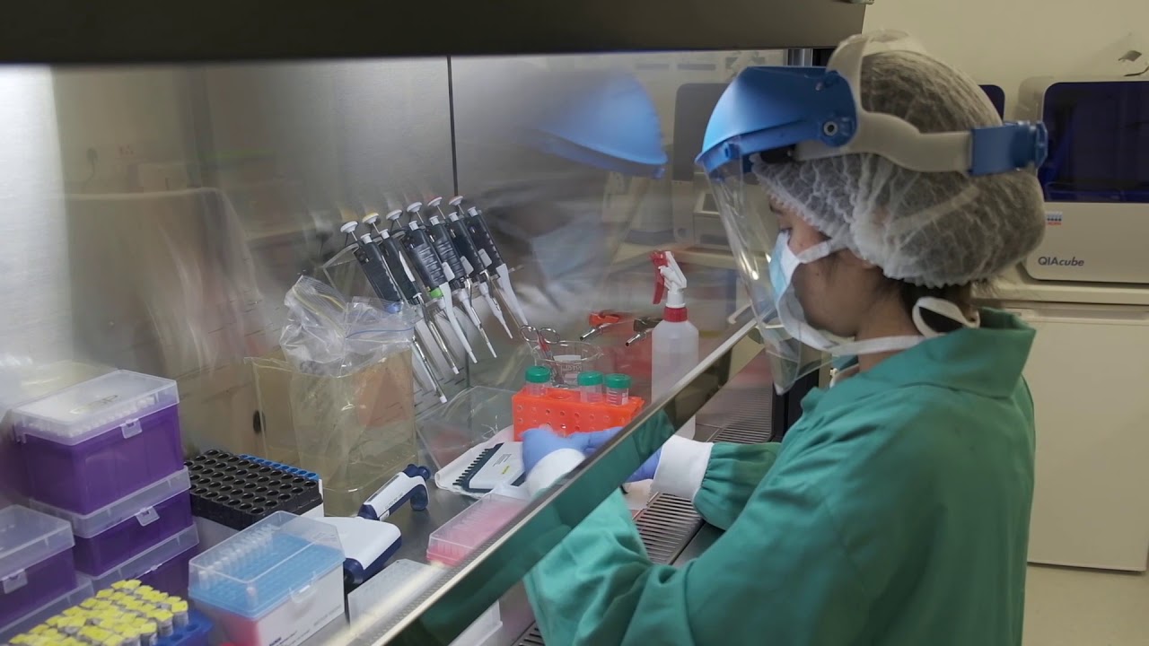 COVID-19 Response Efforts - CPGR Diagnostic Testing - YouTube