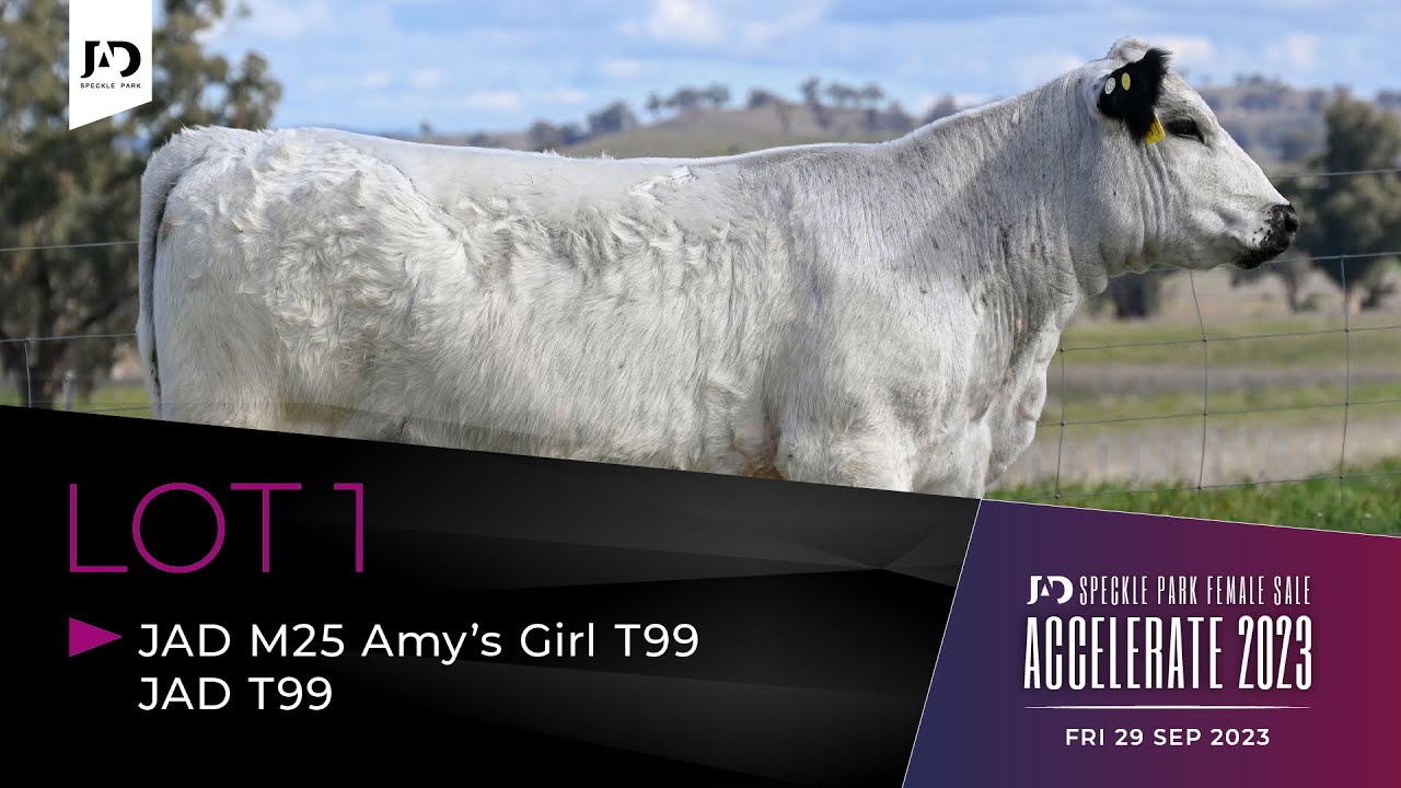 Lot 1: JAD M25 Amy's Girl T99 (JAD T99) - YouTube