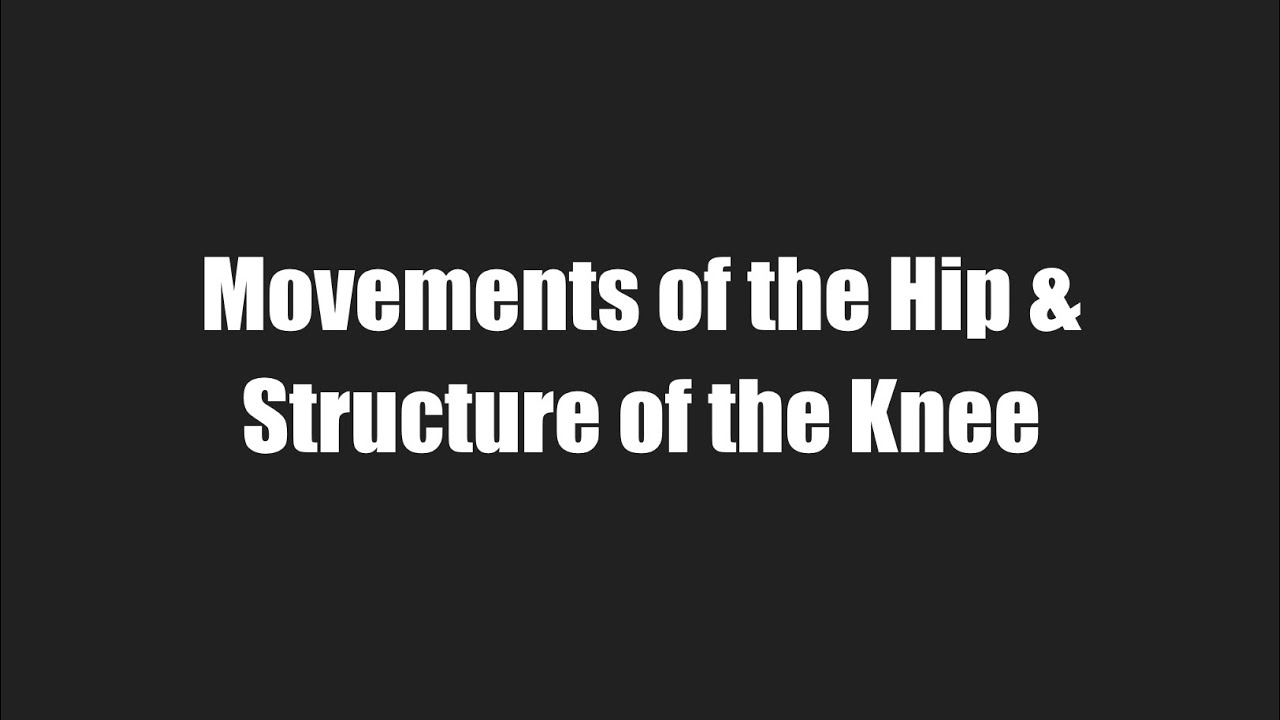Movements of Hip & Structure of the Knee - Kinesiology & Biomechanics ...
