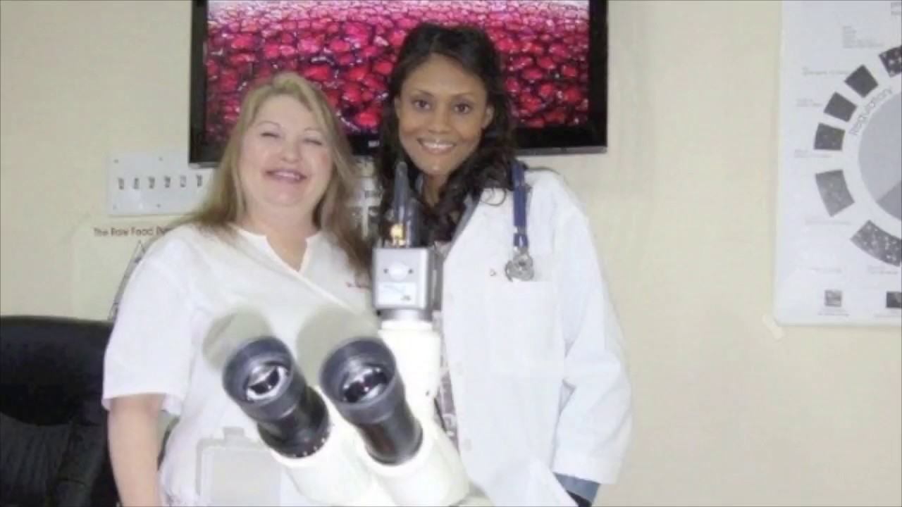 LIVE BLOOD ANALYSIS Training by Center For Nutritional Medicine - YouTube