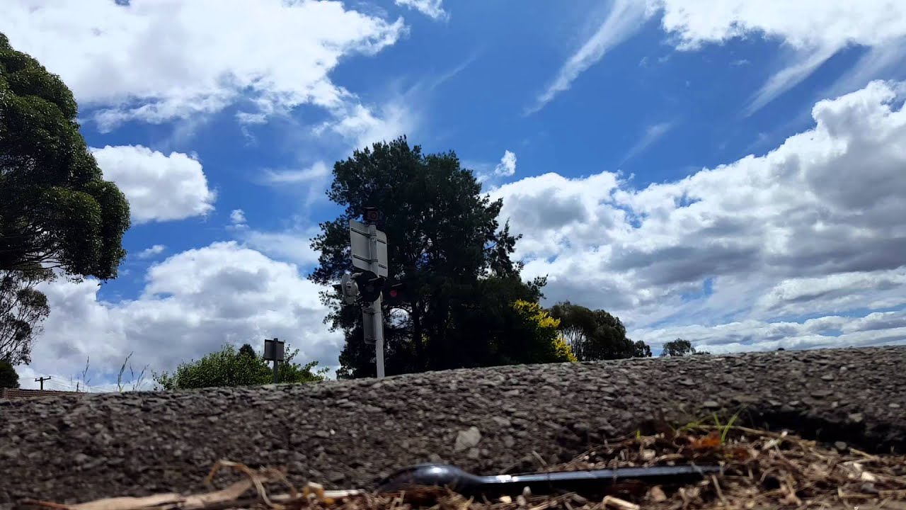 Cockatoo run 42101 with 5L22 through mossvale - YouTube