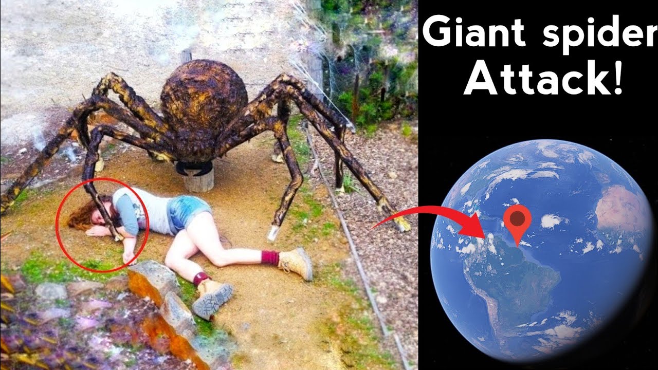 GIANT SPIDER ATTACK FOUND ON GOOGLE EARTH?!? - YouTube