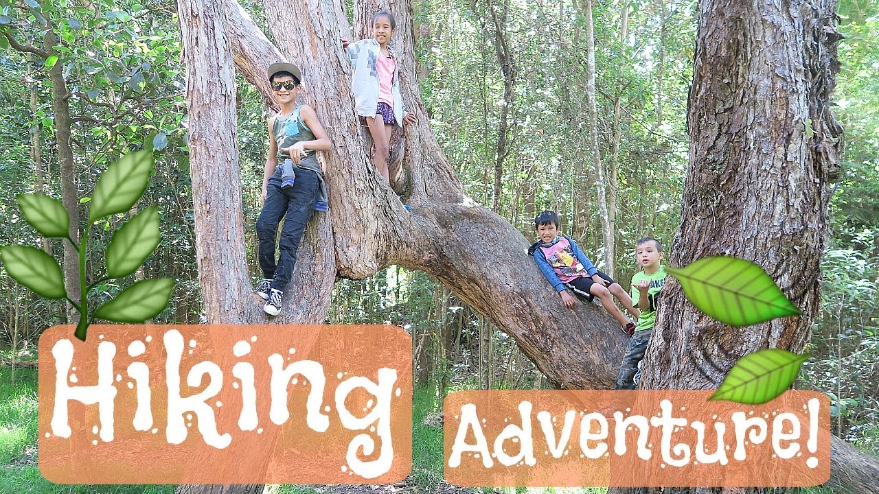 Hiking Adventure!| Vlog #158 - YouTube