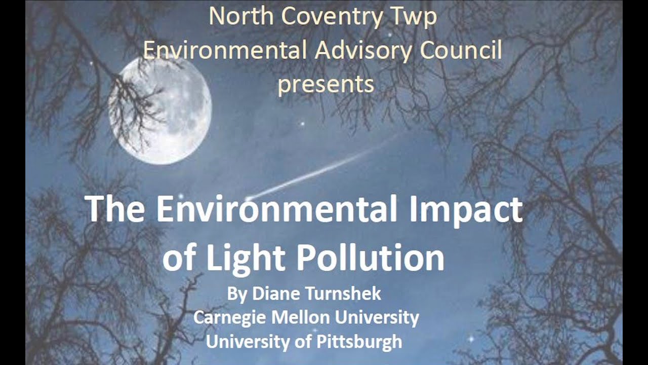 The Environmental Impact of Light Pollution - YouTube