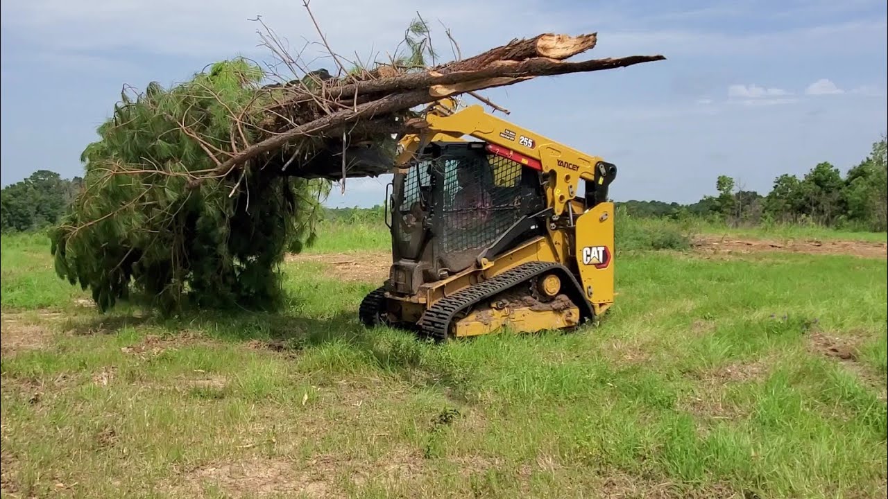 Clearing land for pasture! - YouTube