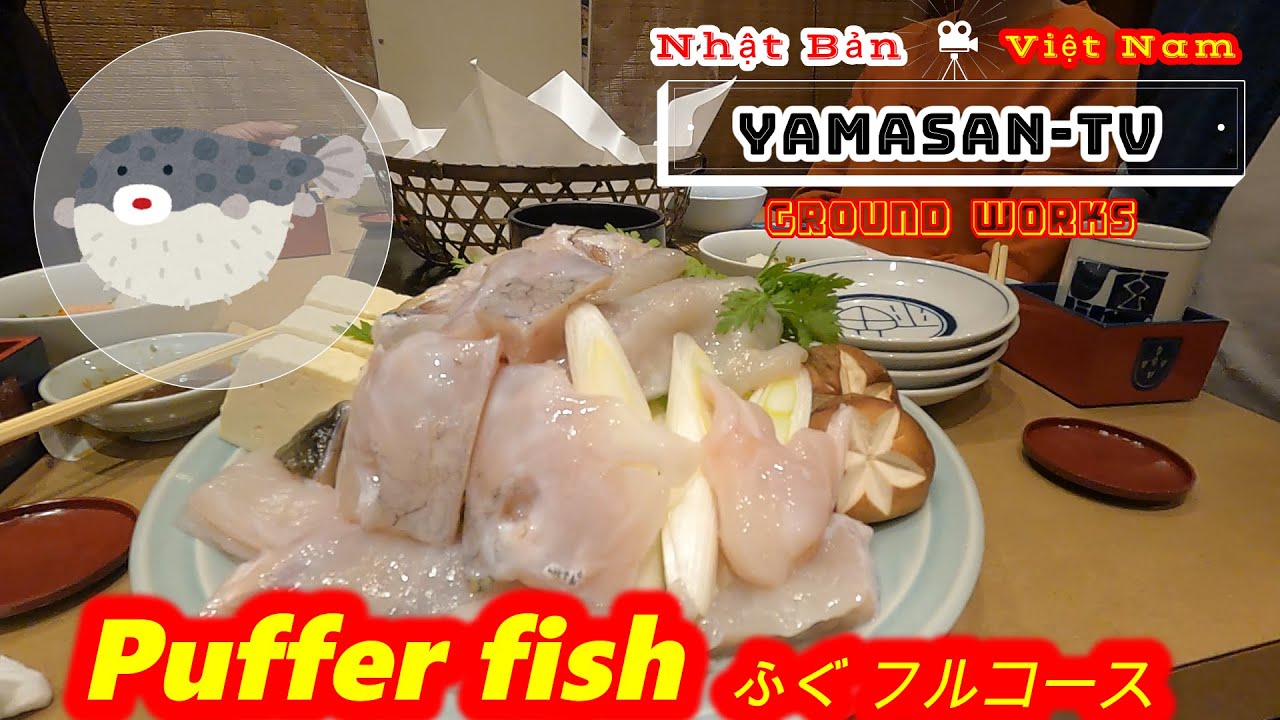 〖Japan〗ふぐ フルコース！ Puffer fish party！ ẩm thực cá nóc 【Giống nhật 】 - YouTube