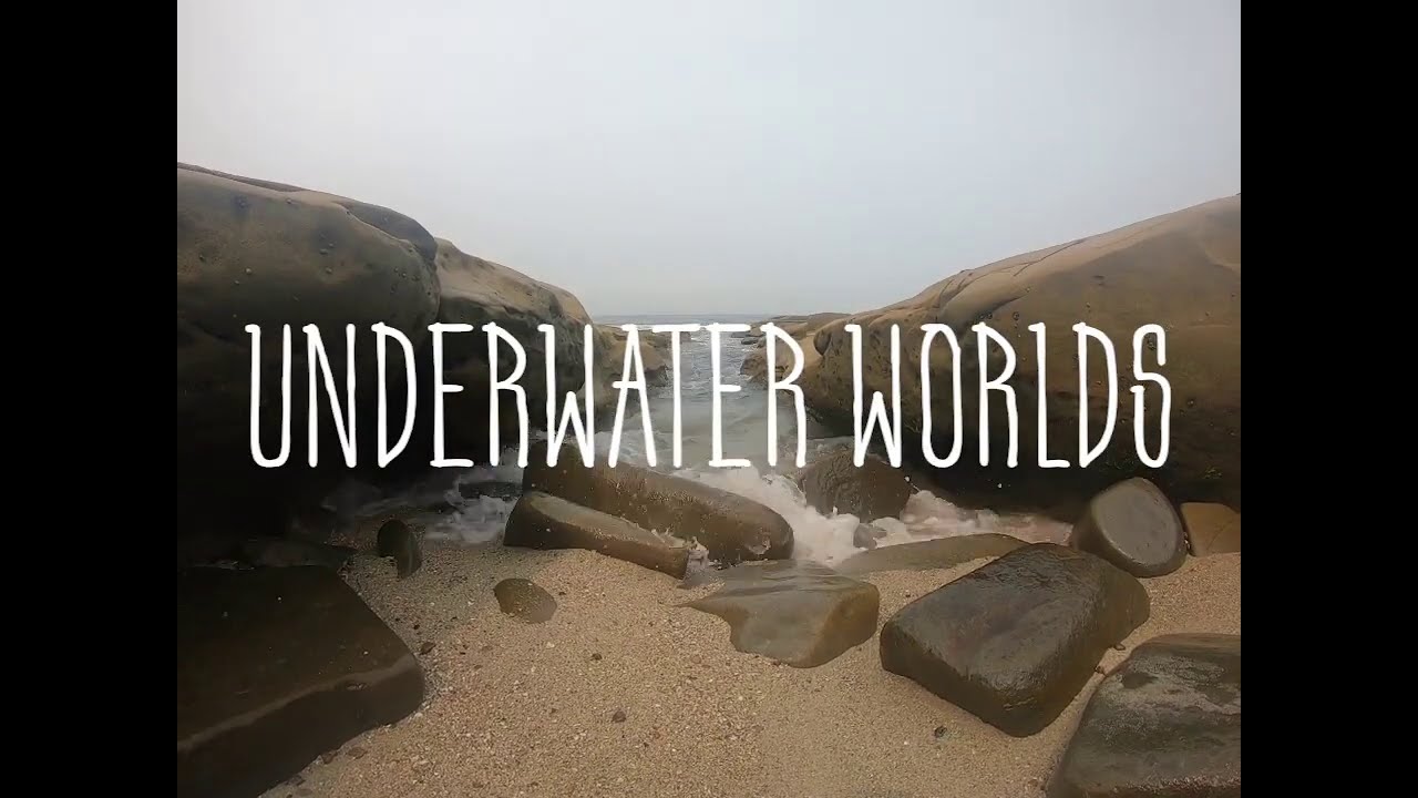 Underwater Worlds ~ The Intertidal Zone - YouTube