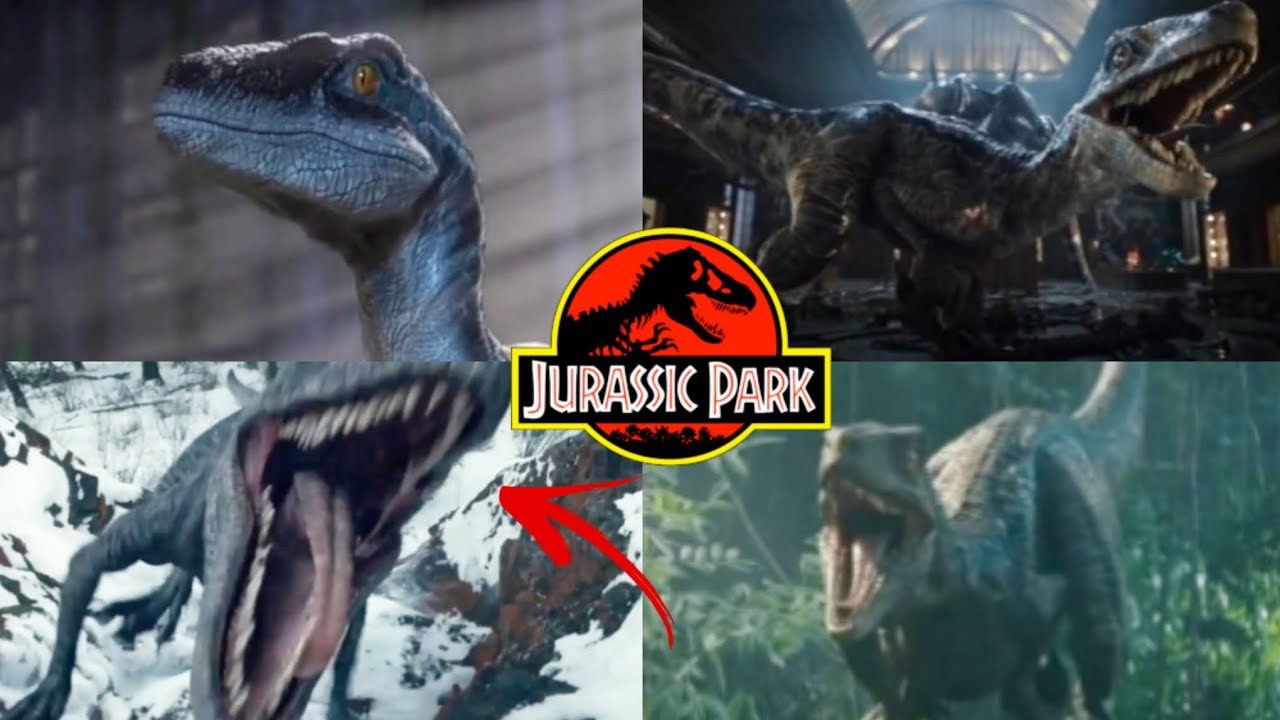 BLUE'S Best SCENES!! {1080P} (Velociraptor) #jurassicworld - YouTube