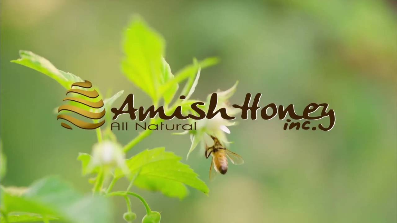 Amish Honey Brand Advertising By Locad Graphic Design - YouTube