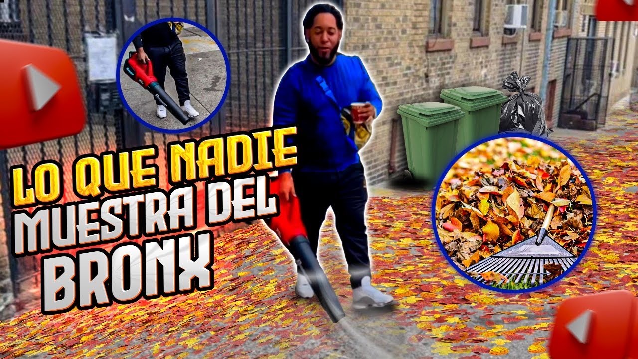 LO QUE NADIE TE MUESTRA DEL BRONX PARTES BUENAS Y MALAS 🤭 - YouTube