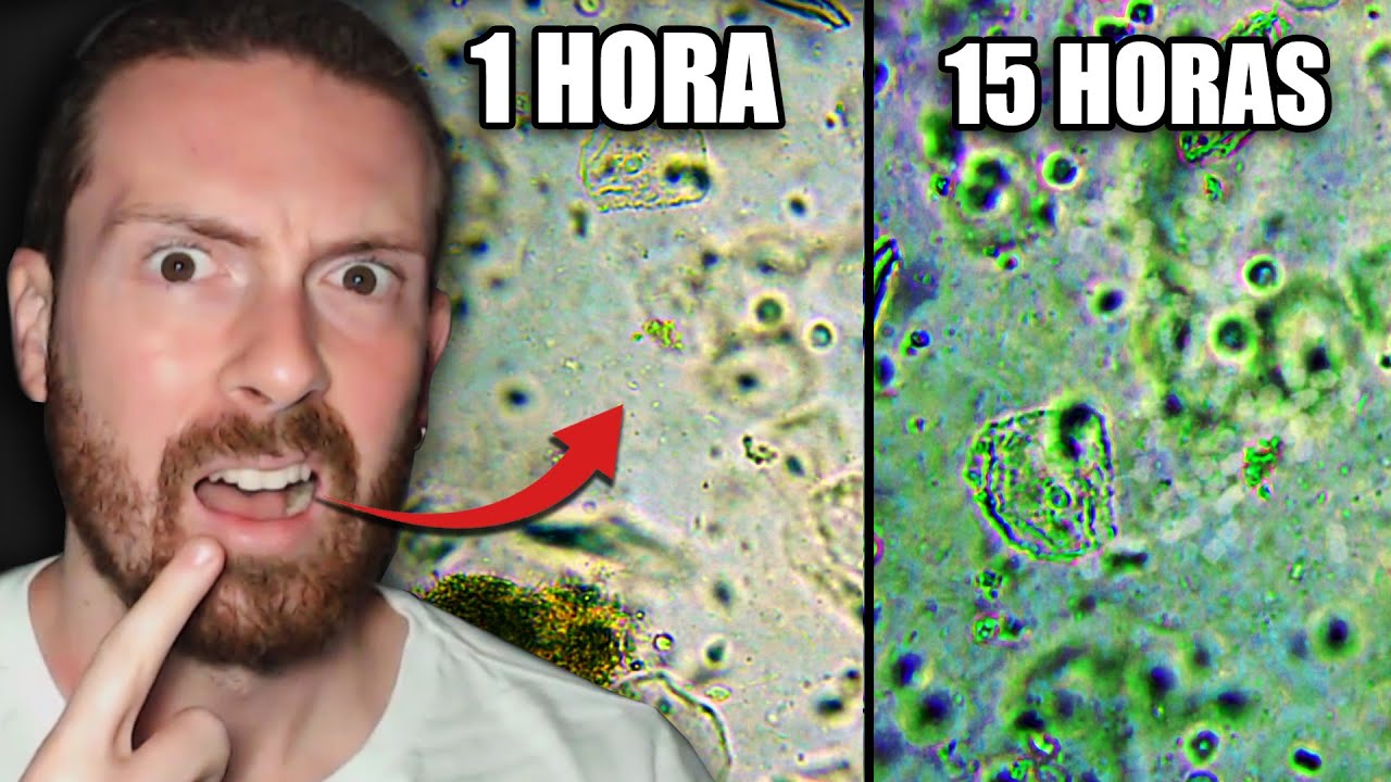 Analisei minha SALIVA durante 24 HORAS - Experimento - YouTube