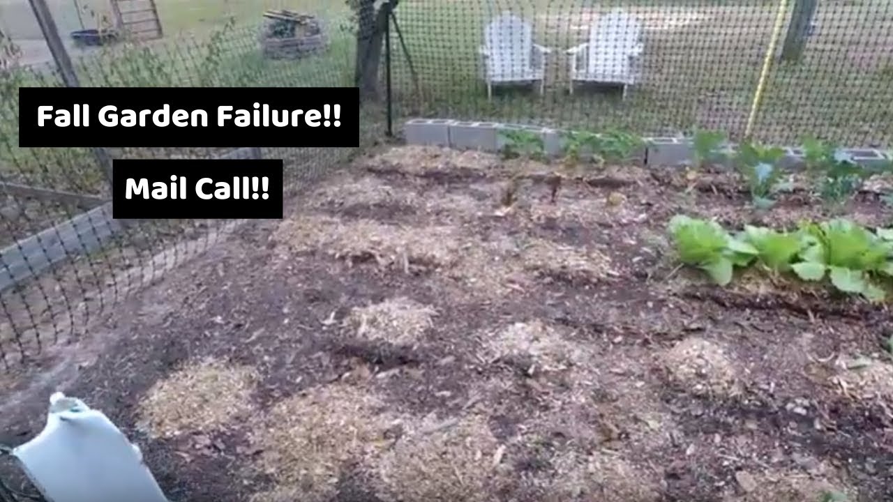 Fall Garden Failure!! | Mail Call!! - YouTube