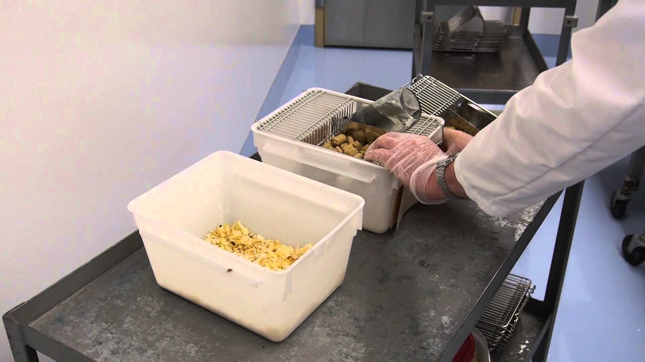 1.7 – Handling Procedure of the Mice - YouTube