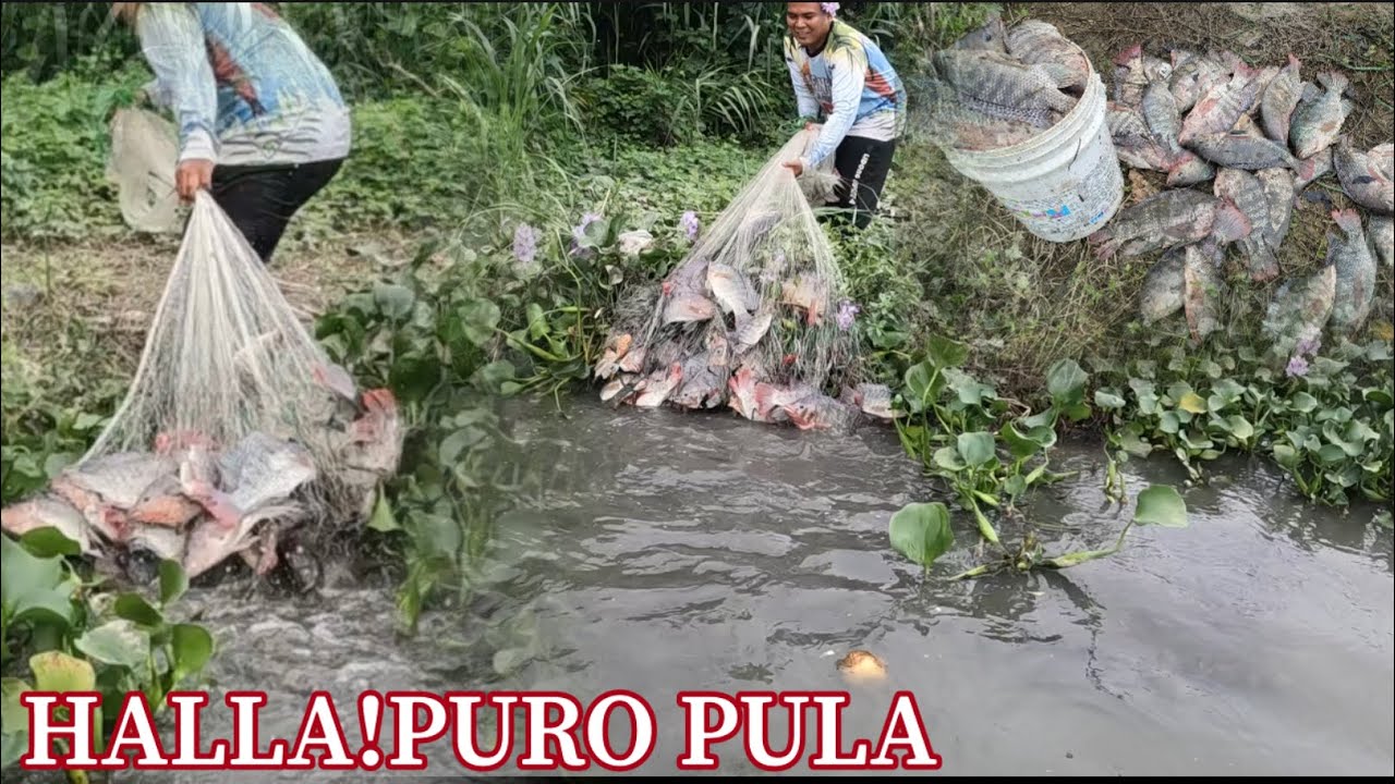 CATCH&COOK:Grabe mga pulang isda ang namugad sa lugar na ito?Ang lalaki ...