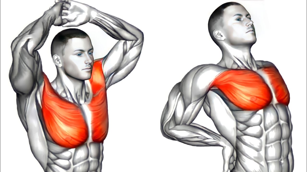 How To Do SEATED CHEST CLAM Exercise - At Home Workout - YouTube