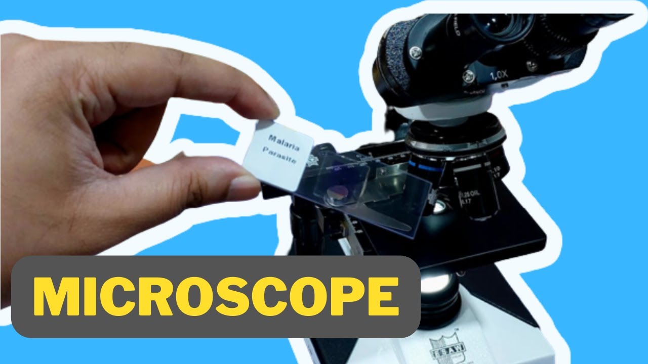Everything You Wanted to Know About Microscope | Microscopy For School Students & Beginners ...