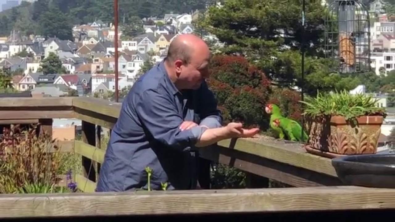 craig parrot 1 - YouTube