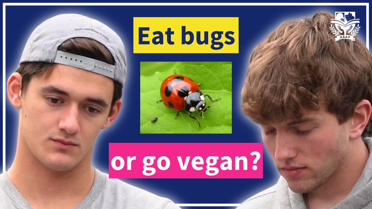 Harvard students confront the truth about veganism and eating bugs ...
