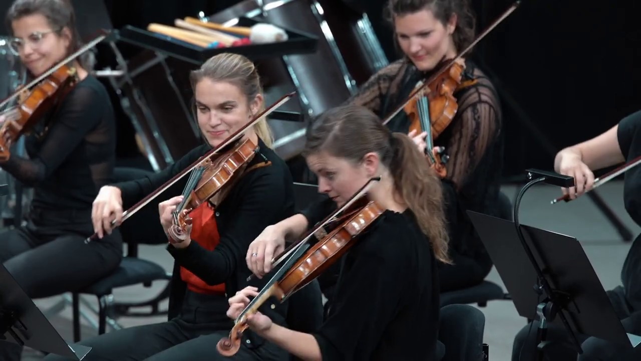 Georg Philipp Telemann: Overture 'Burlesque de Quixotte' - YouTube