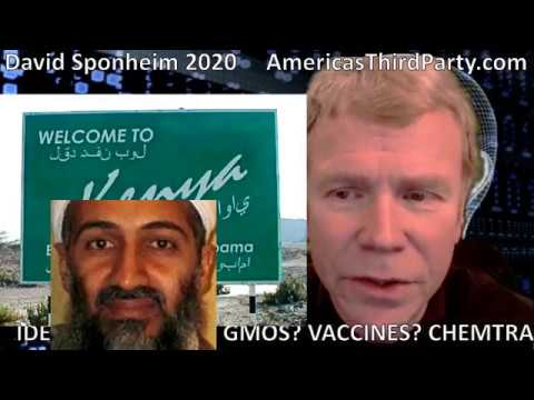 America's Third Party - David Sponheim For President - - YouTube