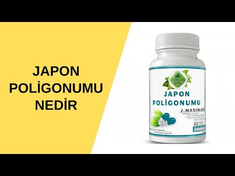 Japon Poligonumu Nedir, Faydaları Nelerdir? Klinik Araştırmaları