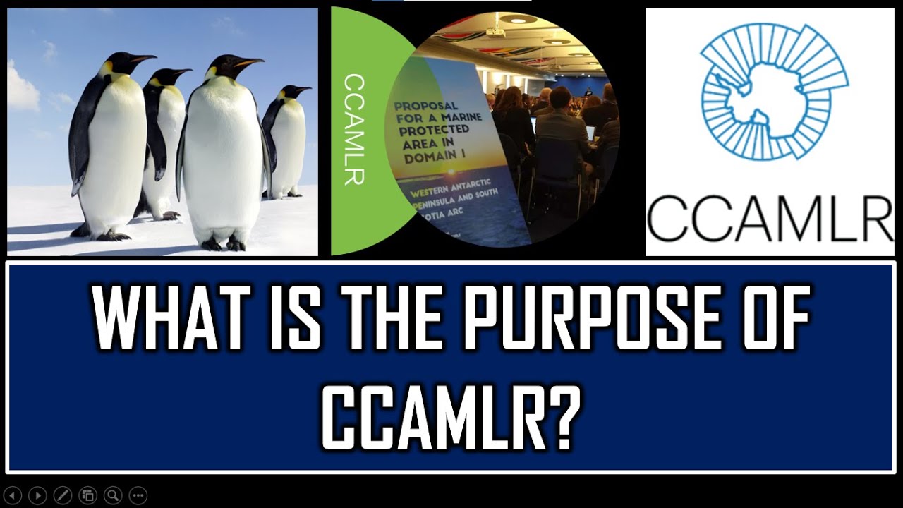 What is the Purpose of CCAMLR ? Protecting Antarctic Marine Living ...