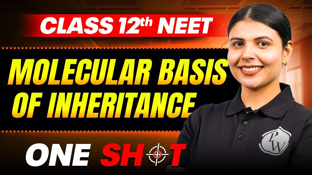 Molecular Basis Of Inheritance IN ONE SHOT || Full Concepts & PYQ ...