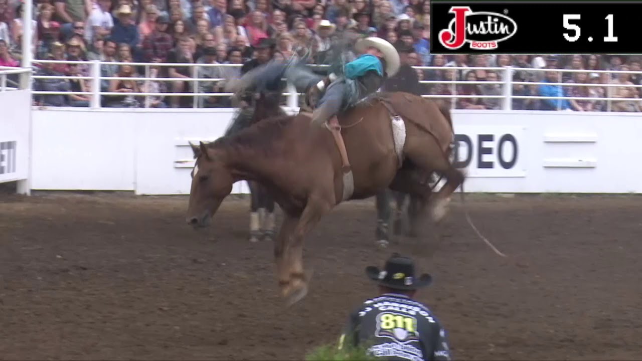 Trenton Montero | St. Paul Rodeo | 2019 Bareback Riding Champion - YouTube